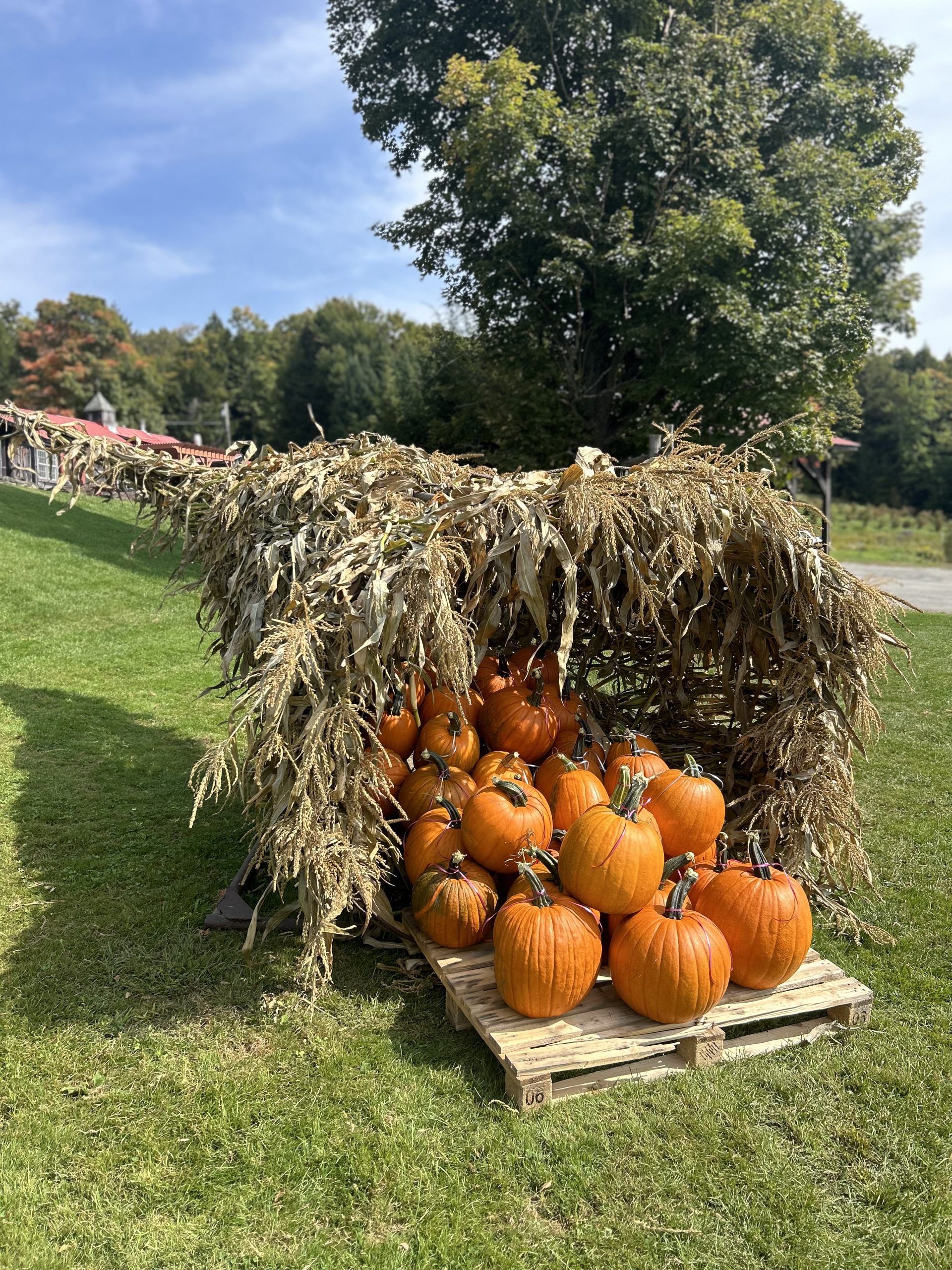 Morse Farm Maple Sugarworks | Authentic Vermont Maple Products